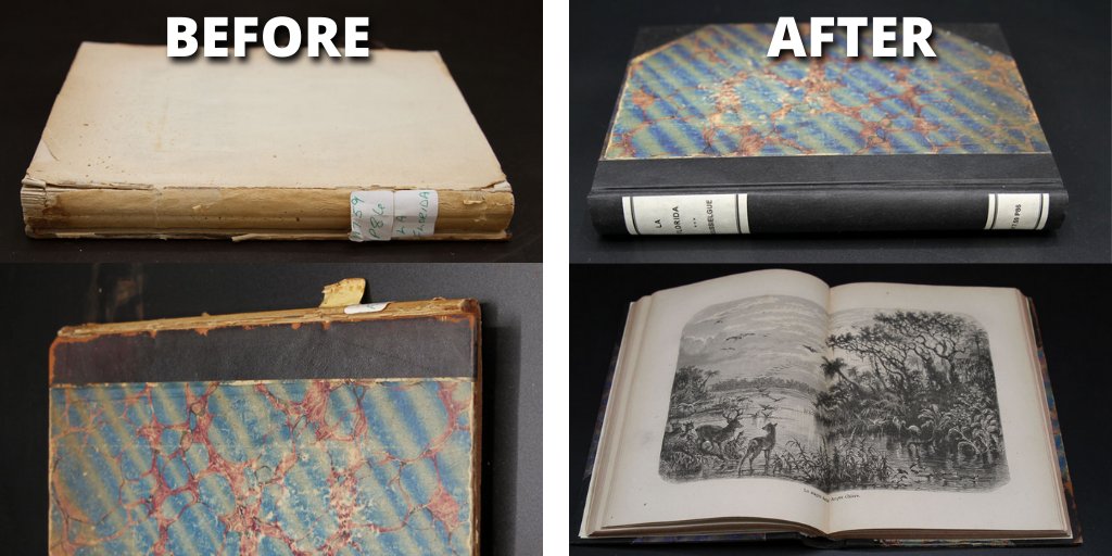 Matched Back Of The Book Cover