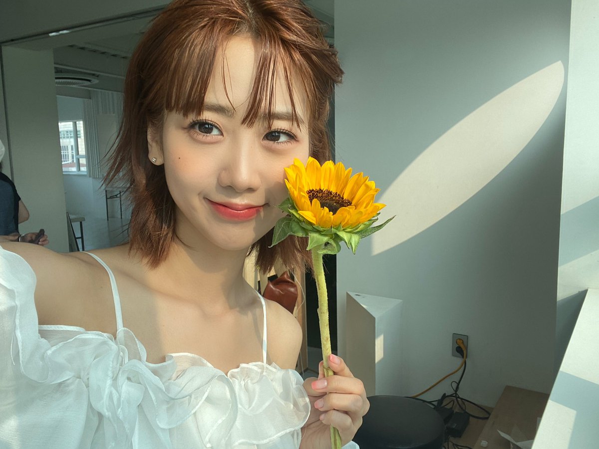 월출산곰 (@called_moonbear) | Twitter