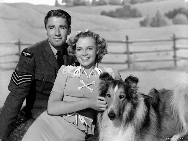 June Lockhart Lassie