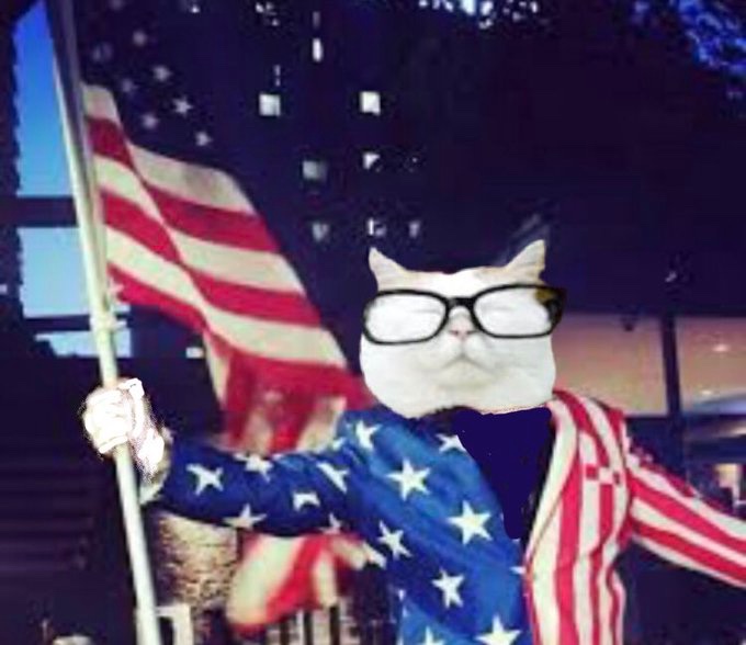 Catturd ™ @catturd2 Timeline, The Visualized Twitter (Analytics)