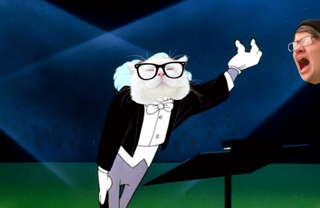 Catturd ™ @catturd2 Timeline, The Visualized Twitter (Analytics)