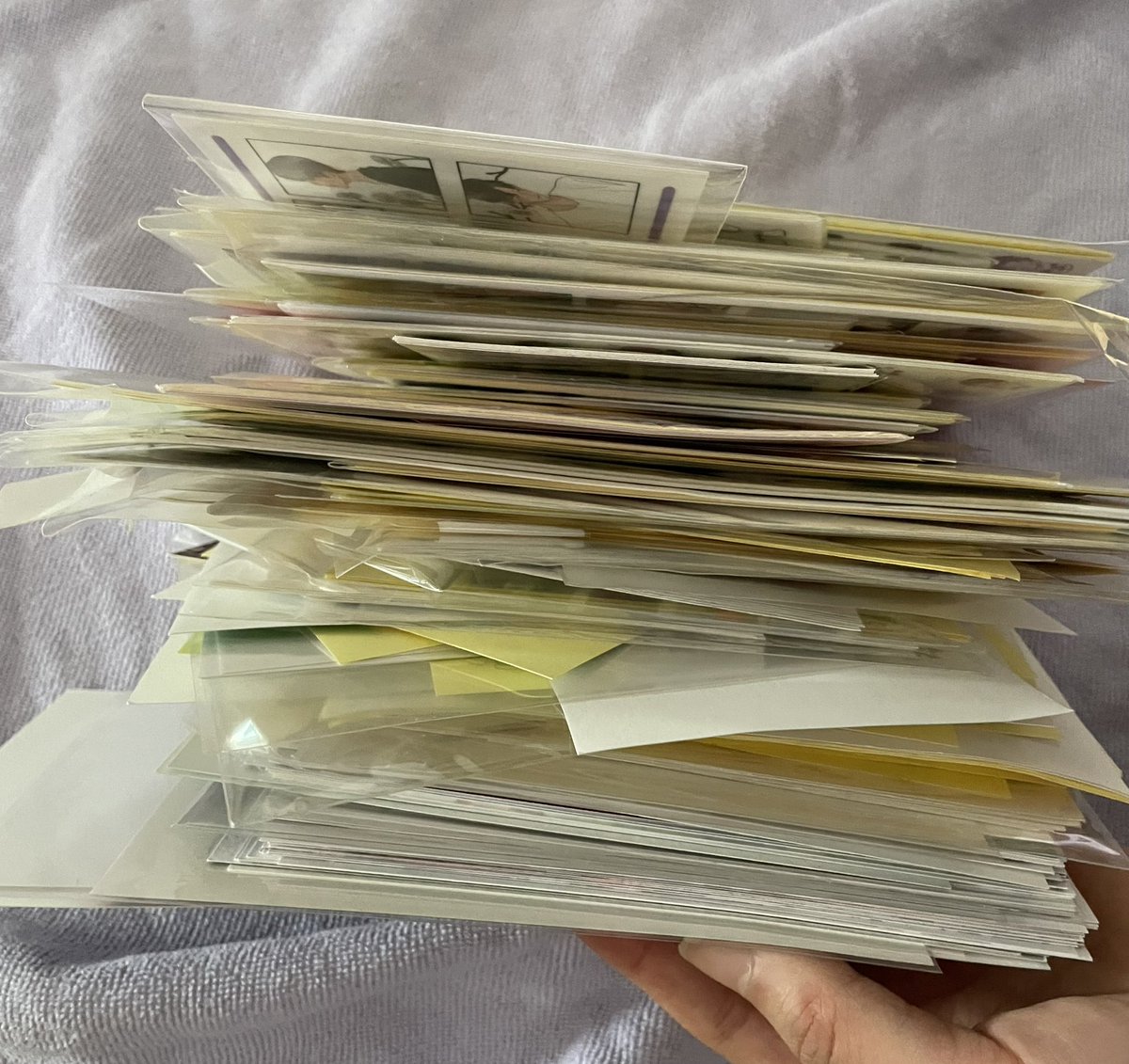 양도계 (@yangdo__haeyoh) | Twitter