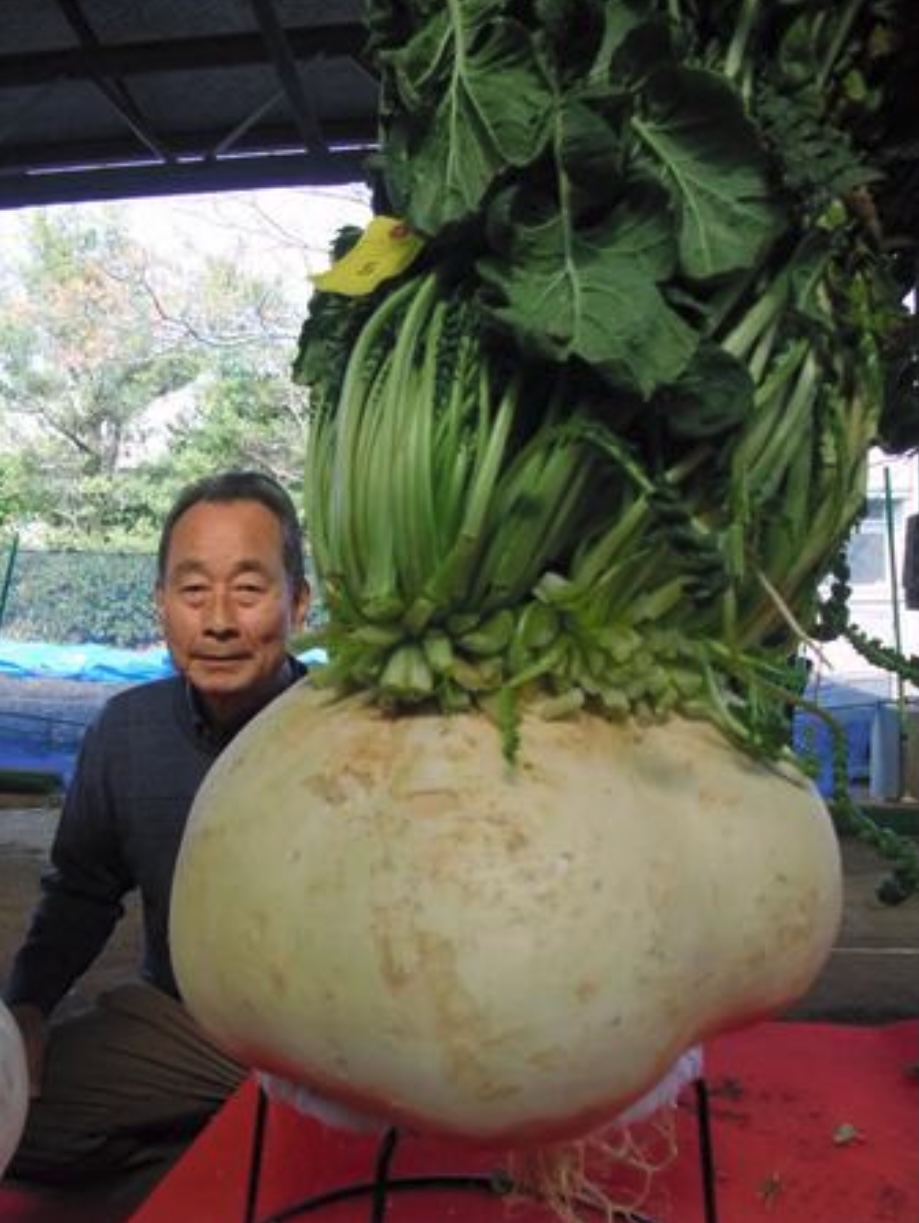 El NABO de este TIO es REAL? +Foto - Forocoches