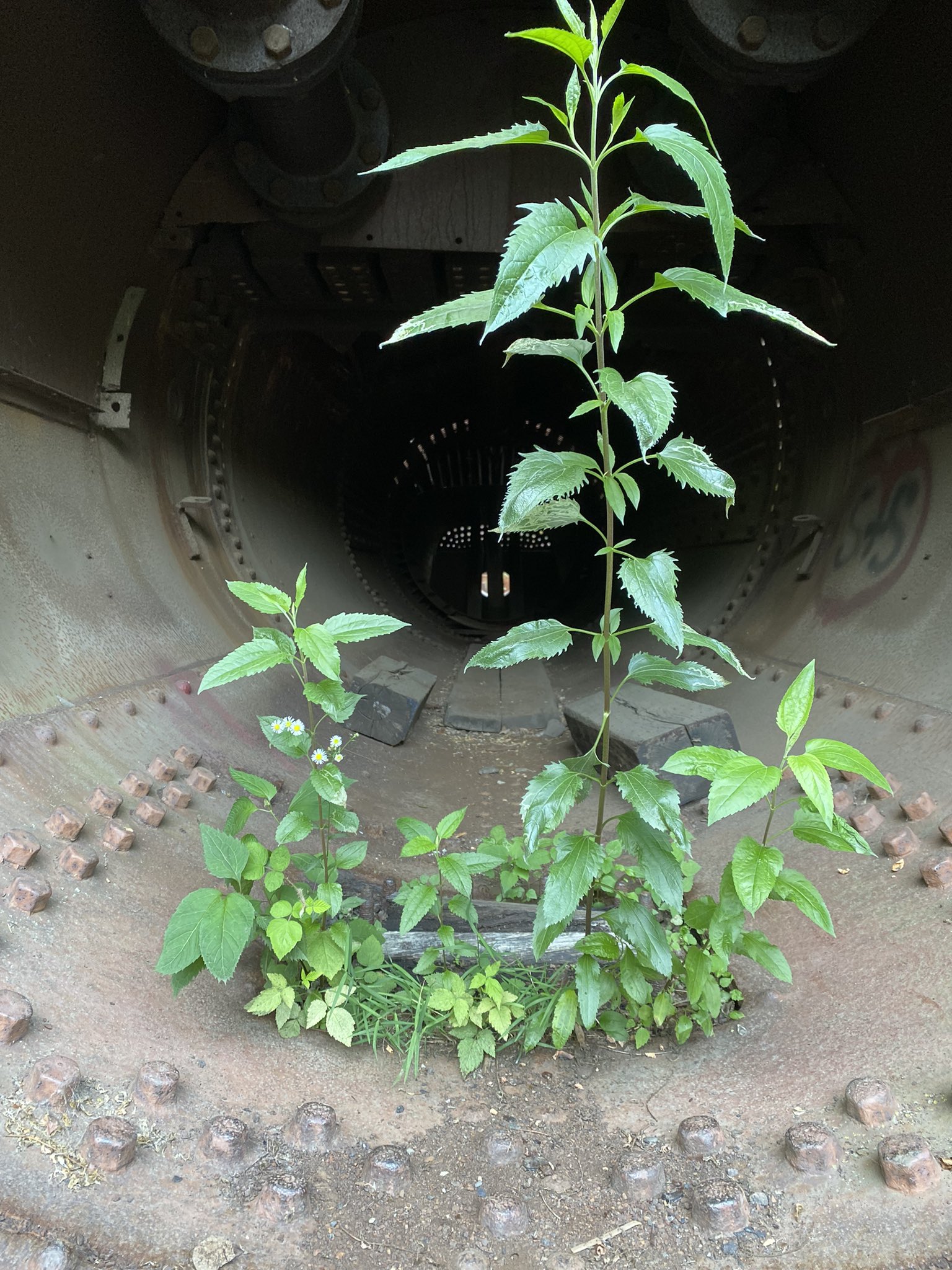 EnterprisingEngine93 on Twitter: "Life and death…