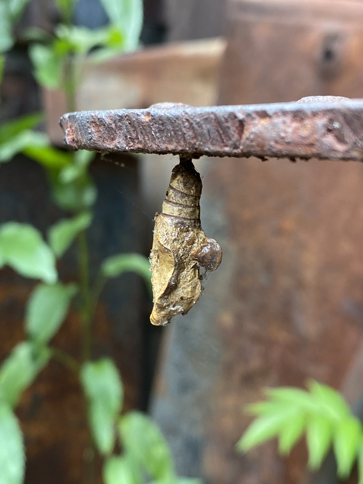 EnterprisingEngine93 on Twitter: "Life and death…