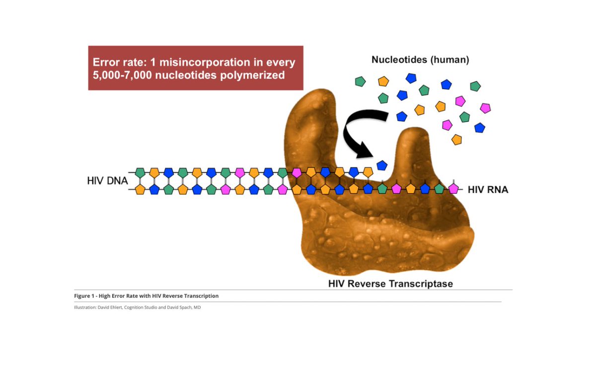 1/ #IDTwitter #HIVTwitter Let’s begin session 2 of our #HIVResistance ...