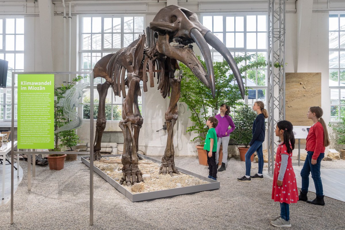 BIOTOPIA Naturkundemuseum Bayern in München