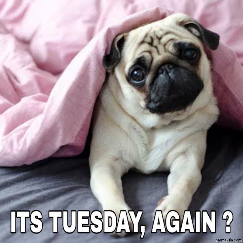 Its Tuesday Again