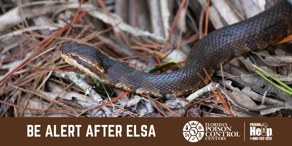 Home - Florida's Poison Control Centers