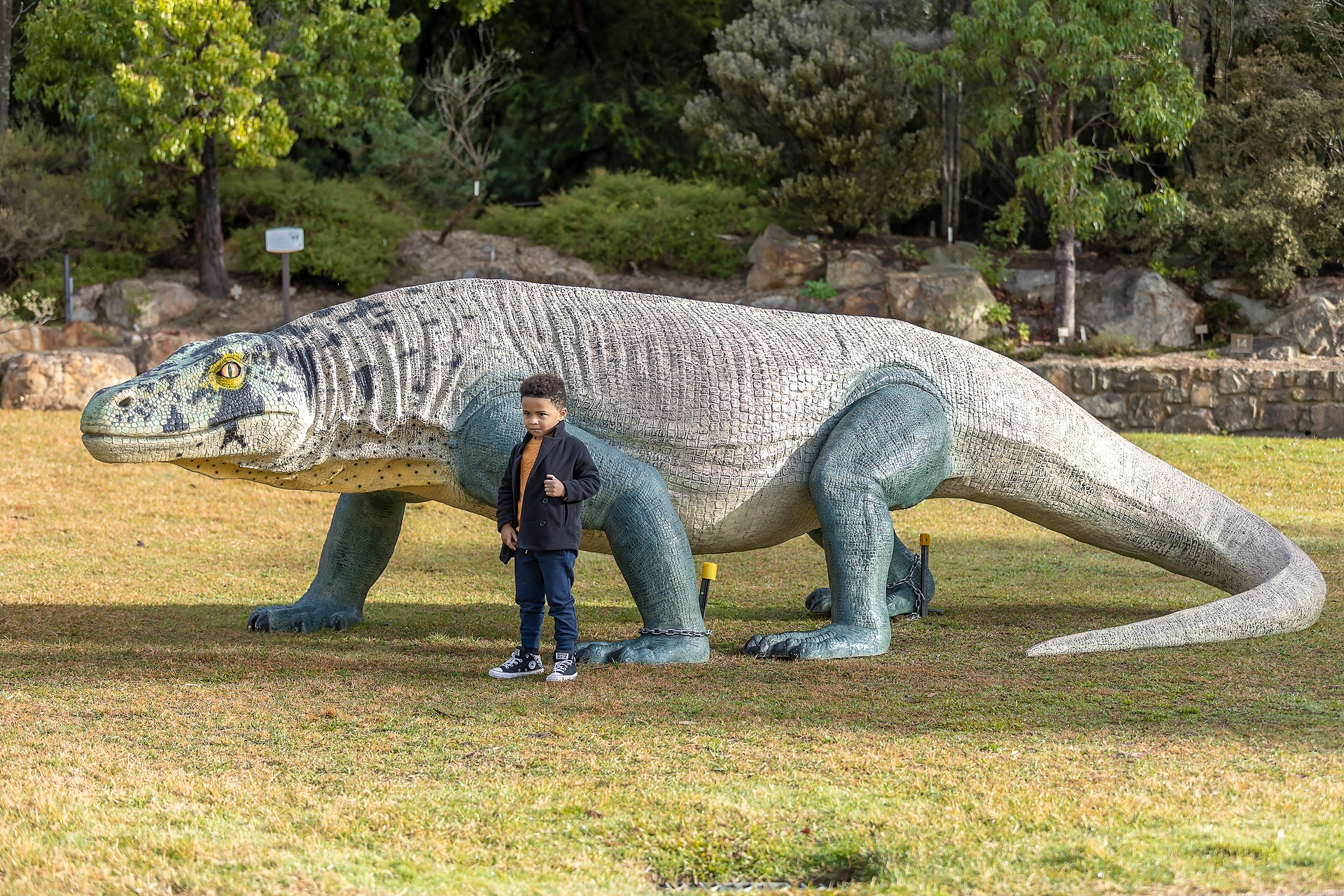 Megalania