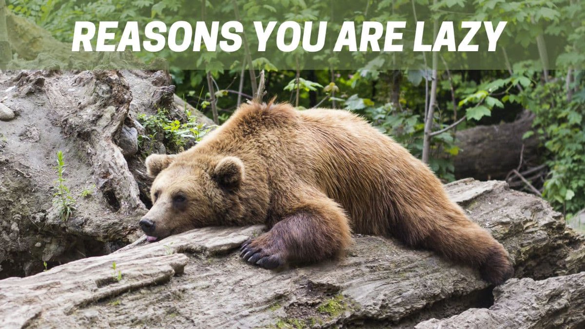 7 Reasons Why you are Lazy and How to Overcome it. || Thread ...