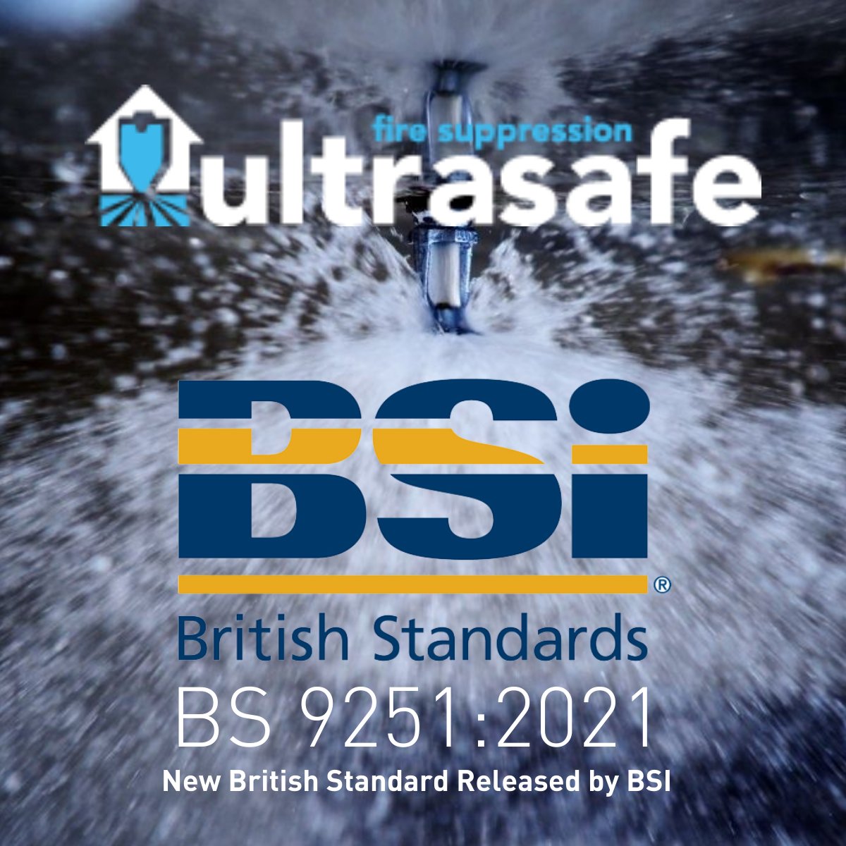 BS9251 What the future holds.... · Ultrasafe