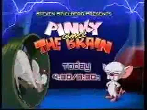 Pinky And The Brain Vhs