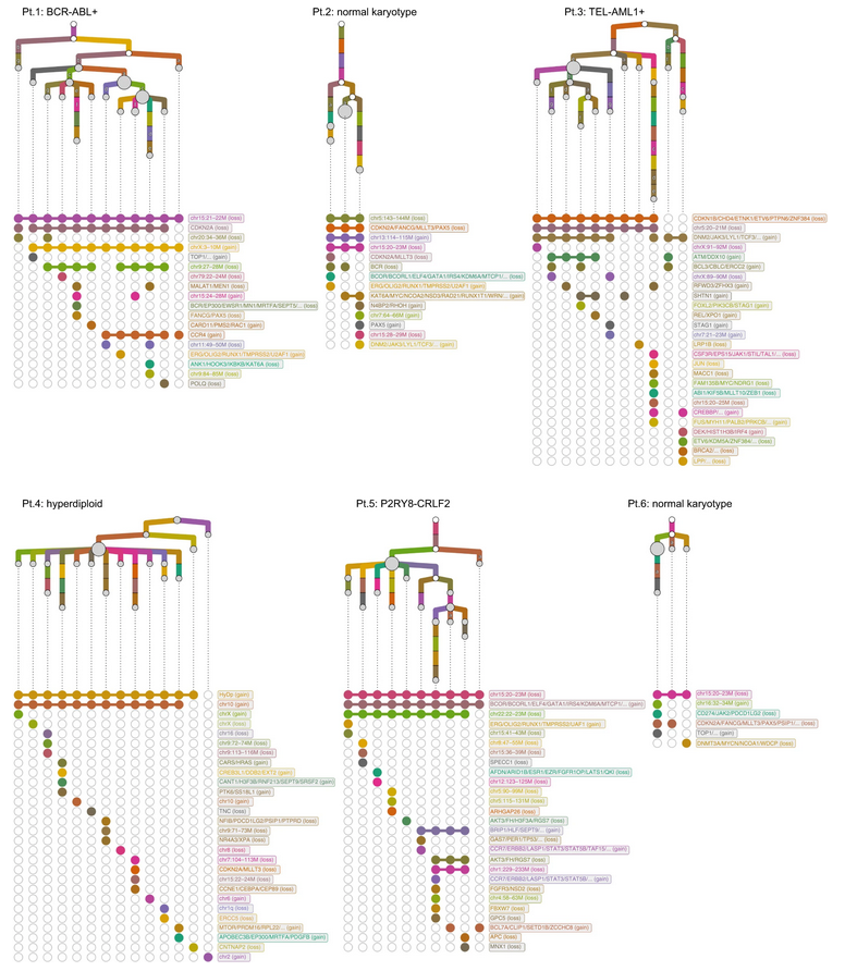 Chuling Ding (@ChulingD) | Twitter
