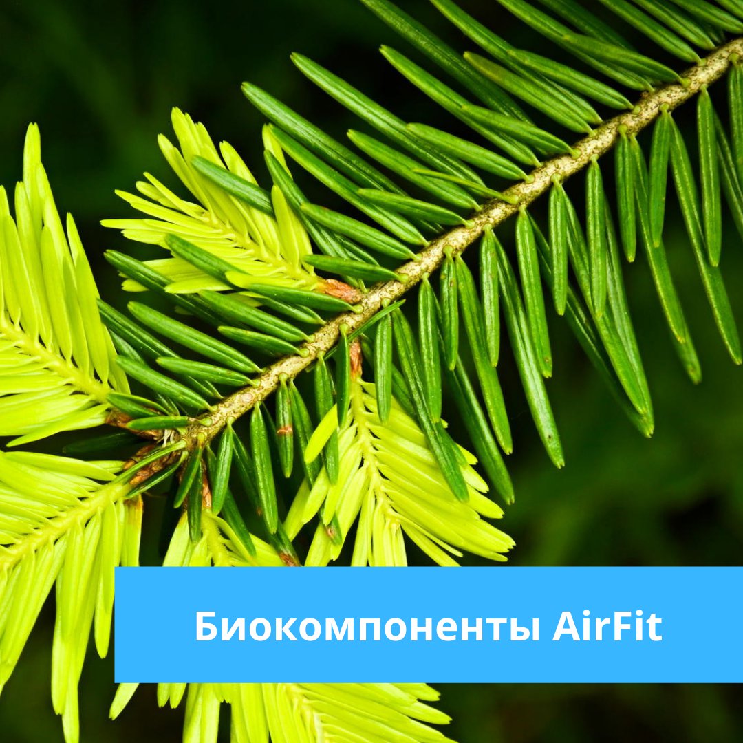 Латта on Twitter: "AirFit - запатентованный препарат, состоящий из ...