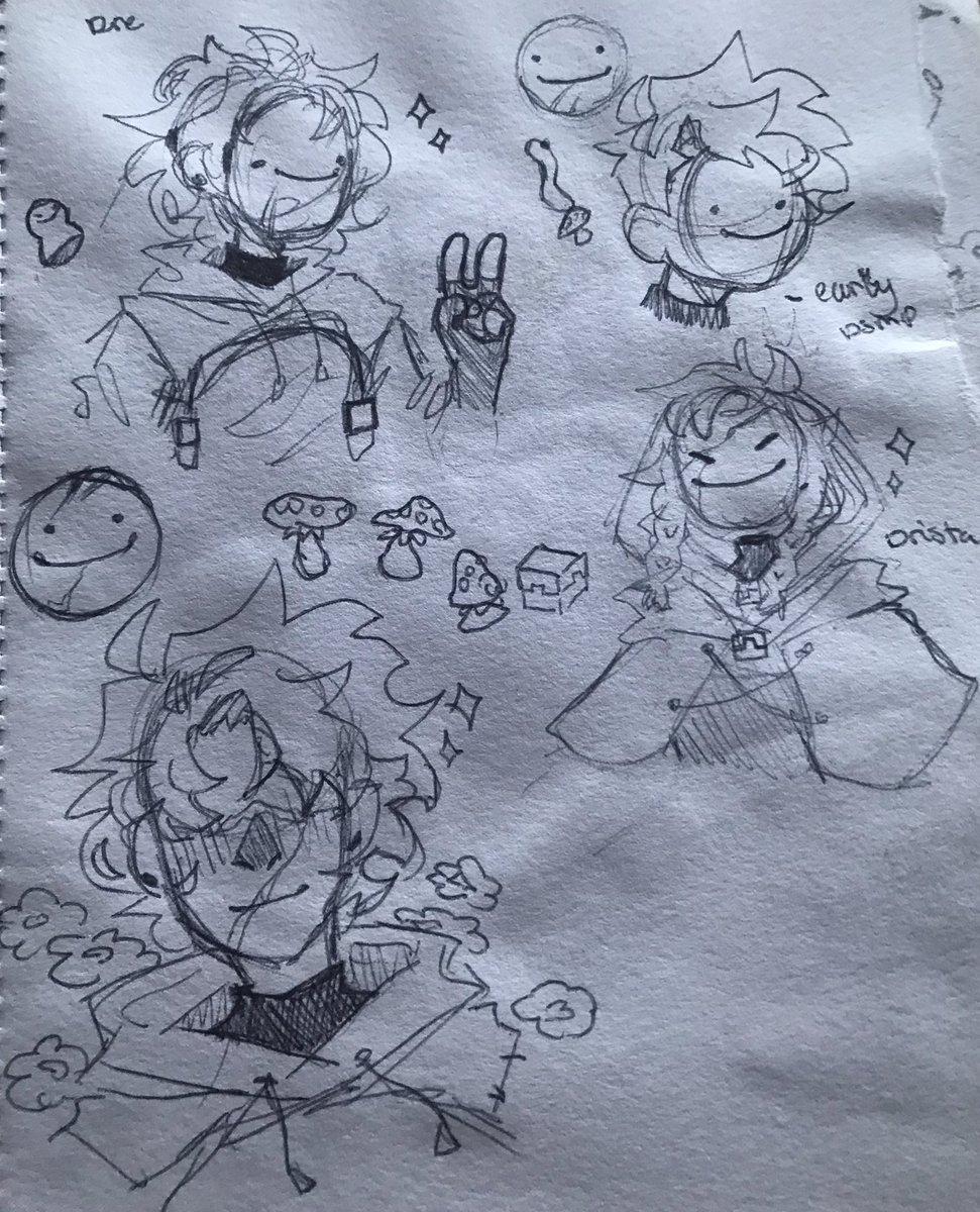 「Dsmp doodle time!! :DD #dreamfanart #sli」|Arty 🐞|| you are LOVED!!の漫画