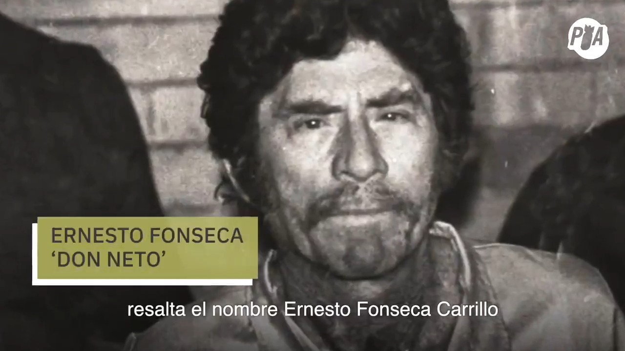 Ernesto Fonseca Don Neto