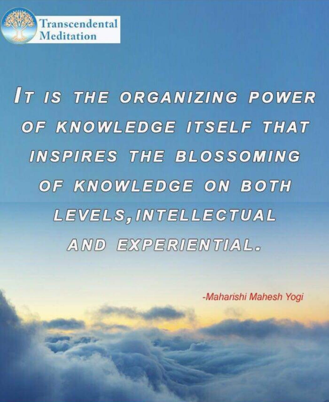 Transcendental Meditation Quotes