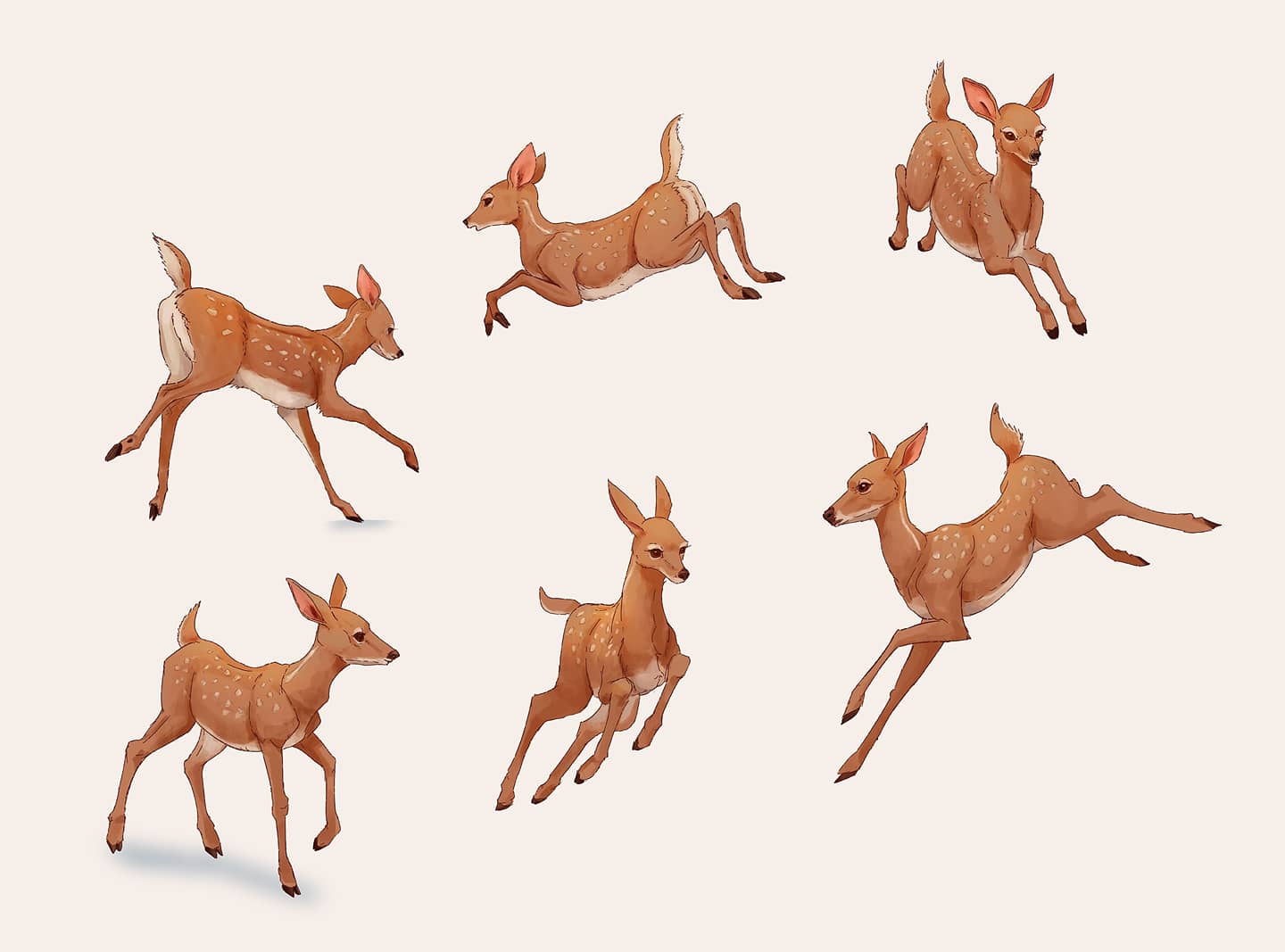 Deer Run Cycle