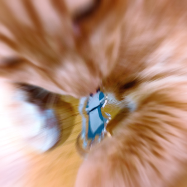 solo blurry pokemon (creature) no humans animal motion blur animal ...