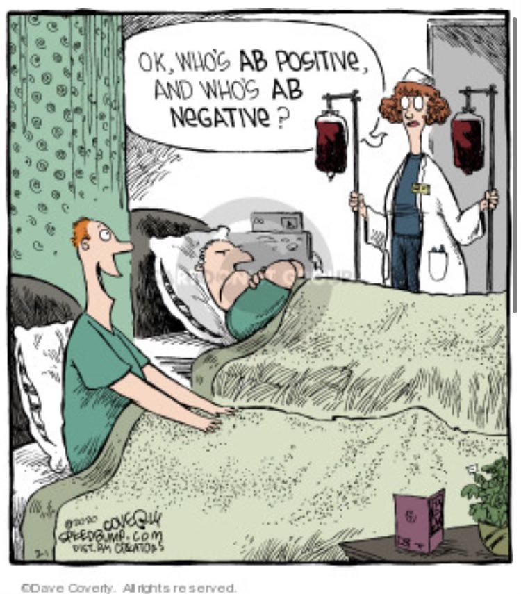 Increased Risk of Transfusion Reactions in Postpartum Blood Transfusions