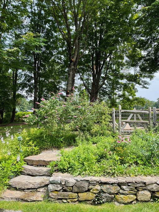 TW Pornstars - Vivienne Cole. The most retweeted pictures and videos ...