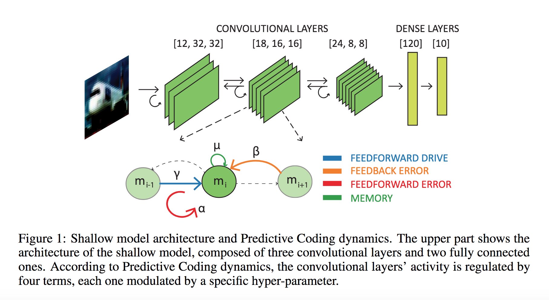 NeuroSpotlights on Twitter: ""On the role of feedback in visual processing: a predictive coding ...