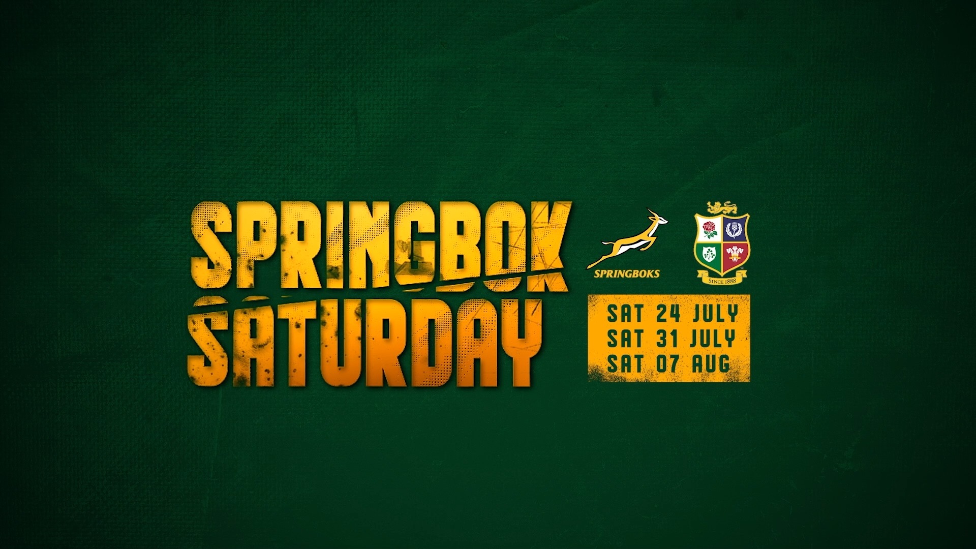 Springbok Logo Wallpaper