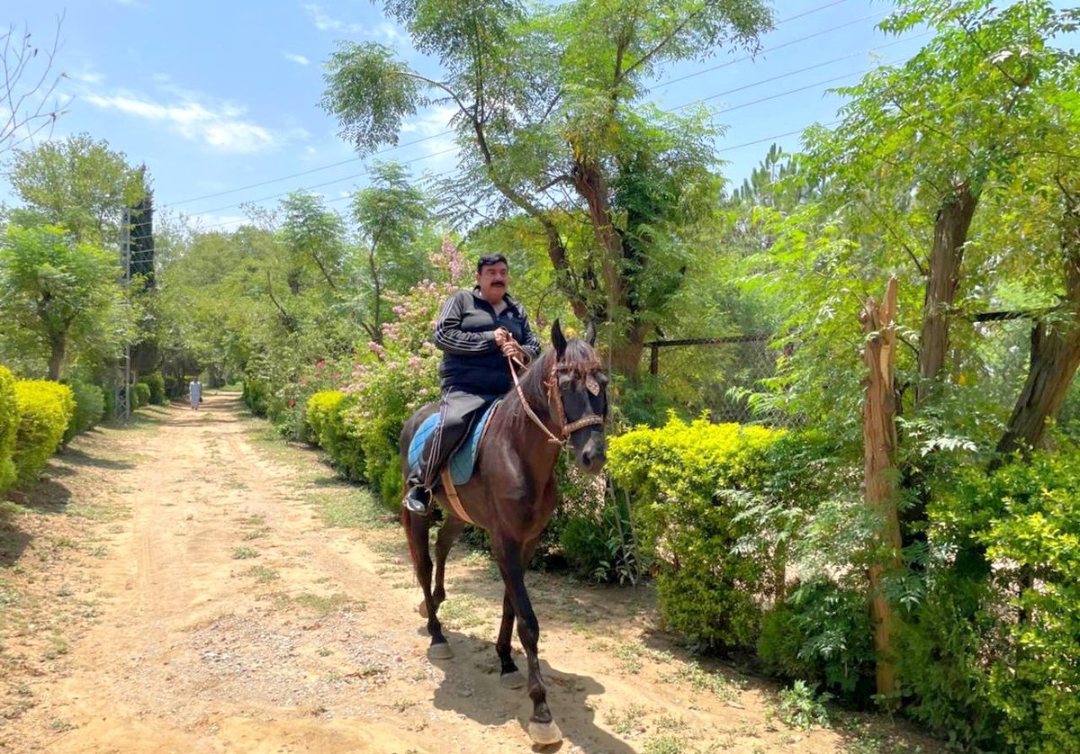 Haroon Rasheed Jabair (@JabairHaroon) | Twitter