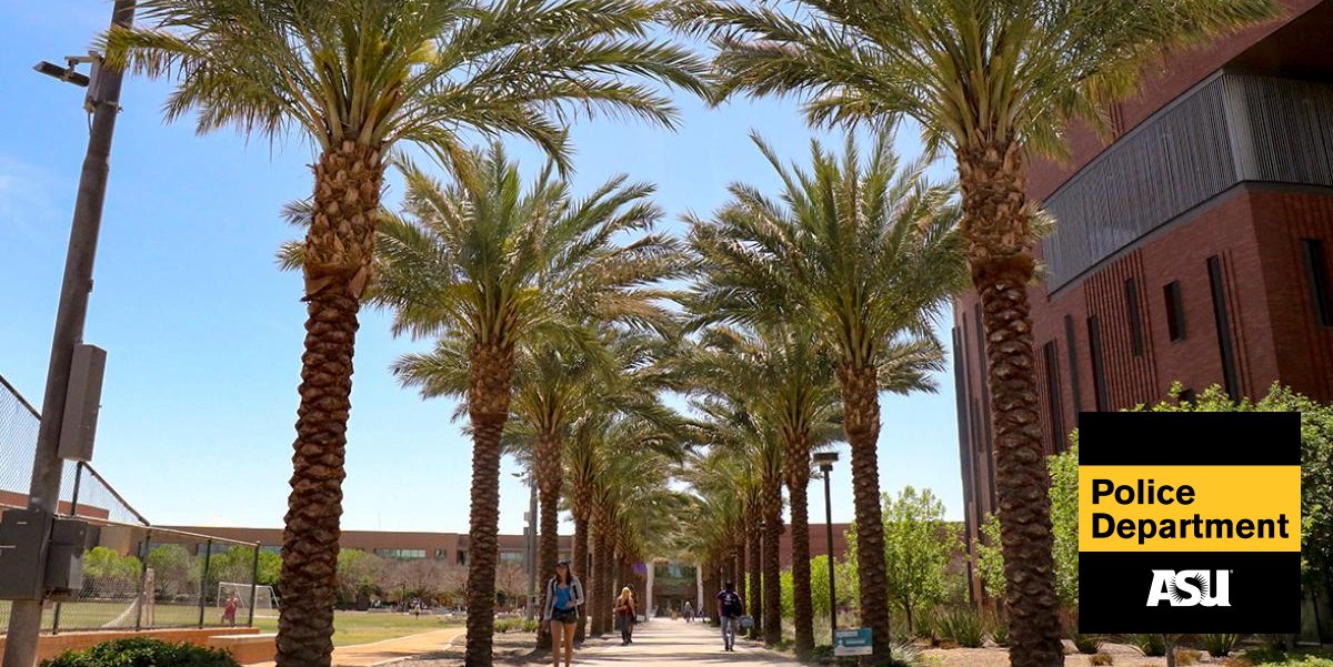 Arizona State University Campus Palm Walk