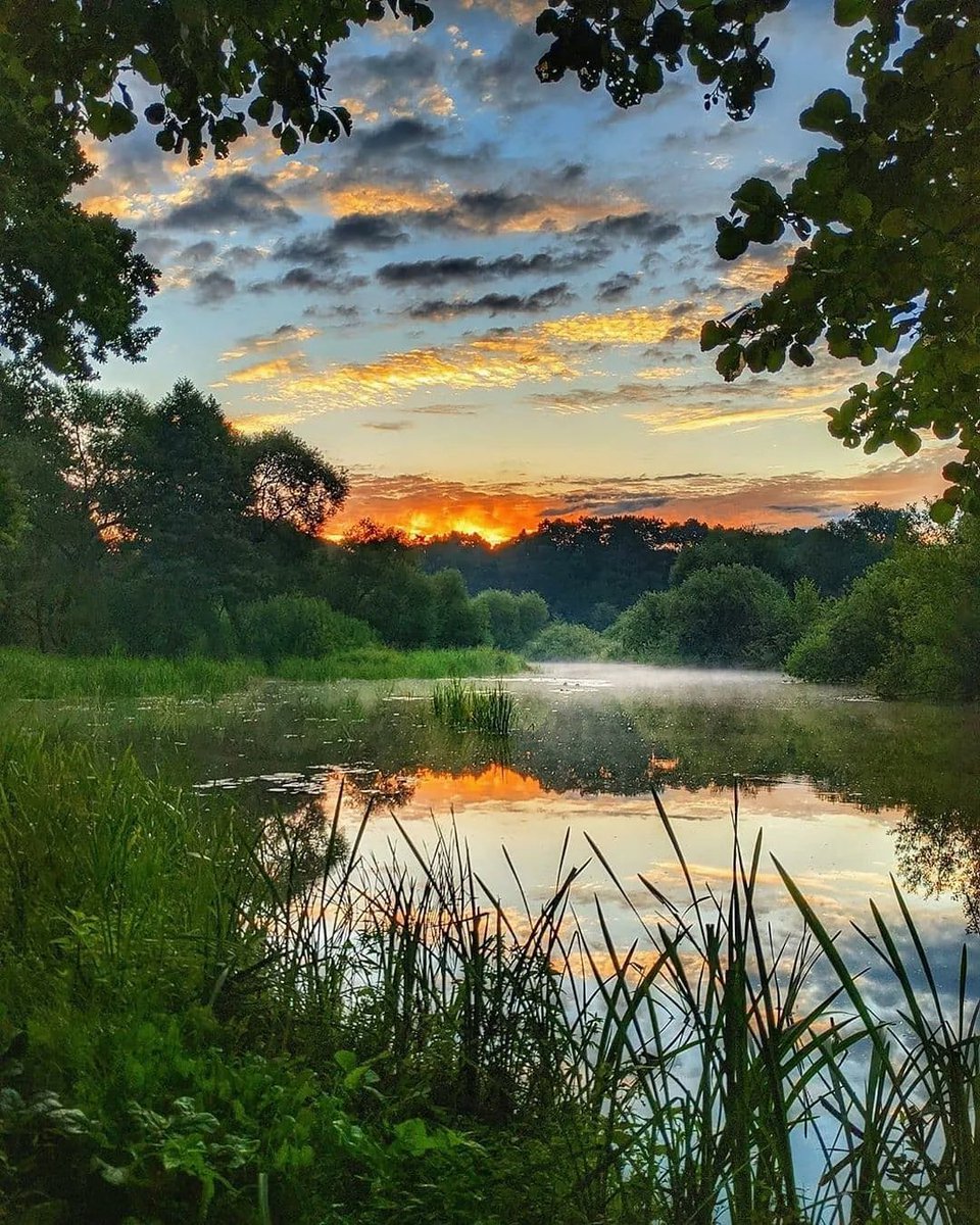 modou jallow (@modouj75) | Twitter