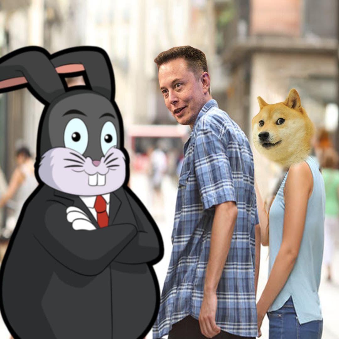 Big Chungus Coin Big Chungus Acrylic Image Plugs | Meme Gauges