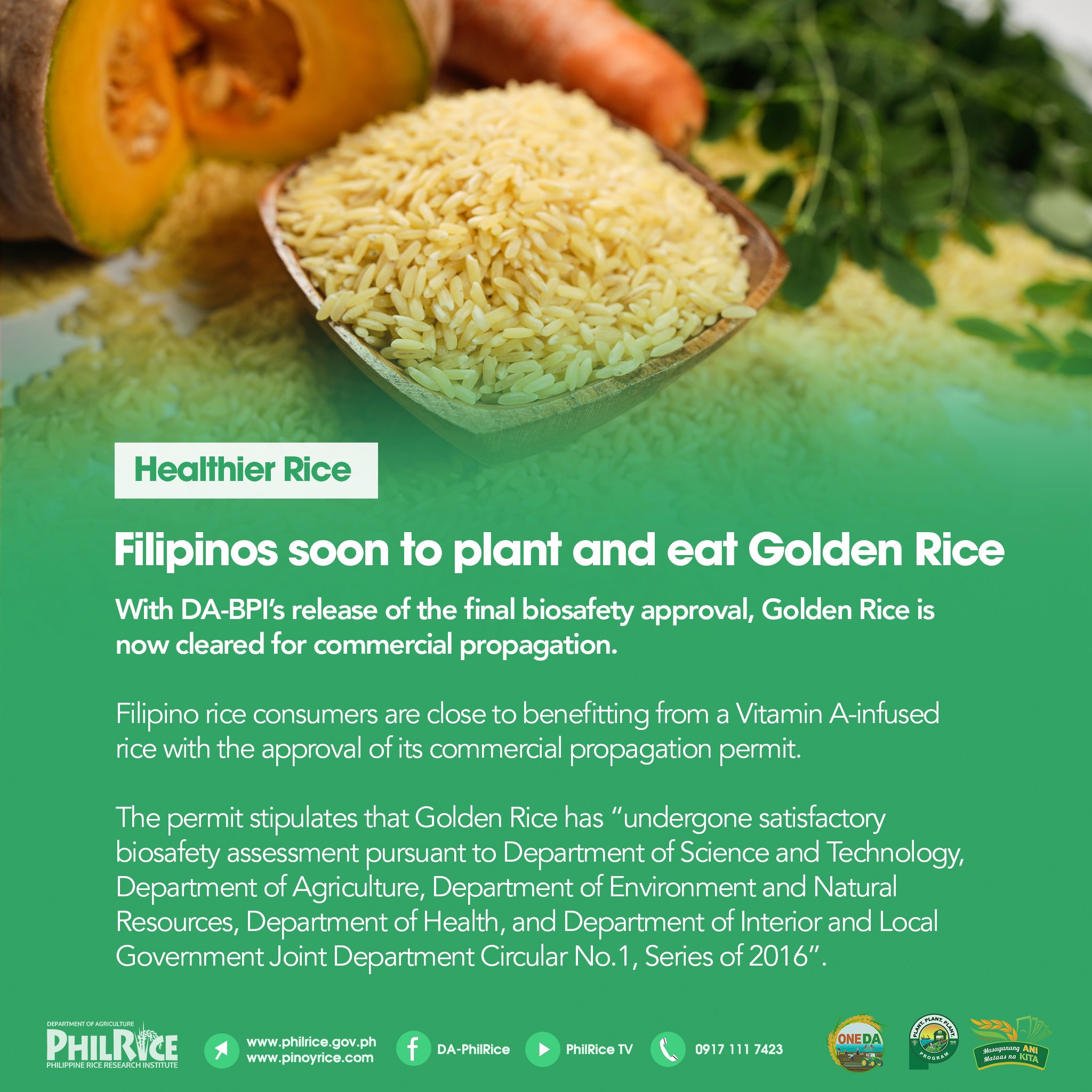 Golden Rice Benefits