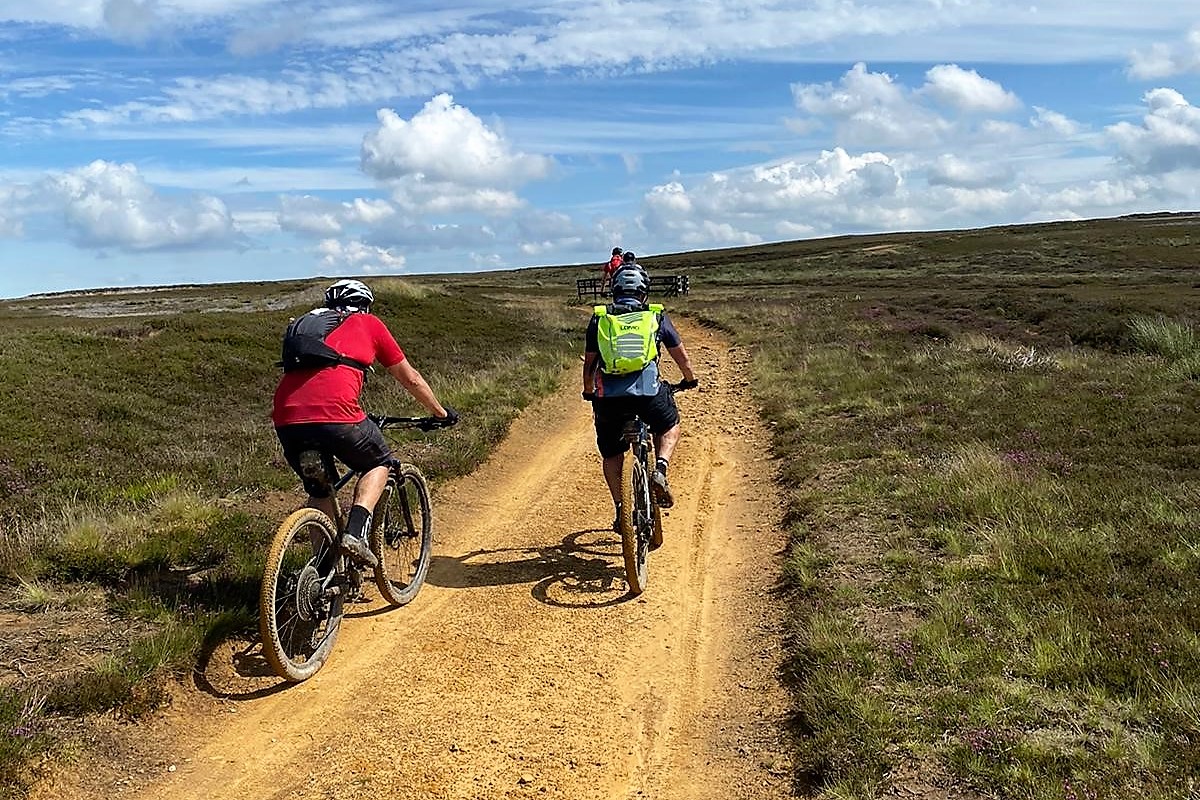 EDGE PS – Project Management • Cost Management • Building Surveying ...