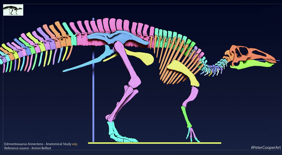 Edmontosaurus Skeleton