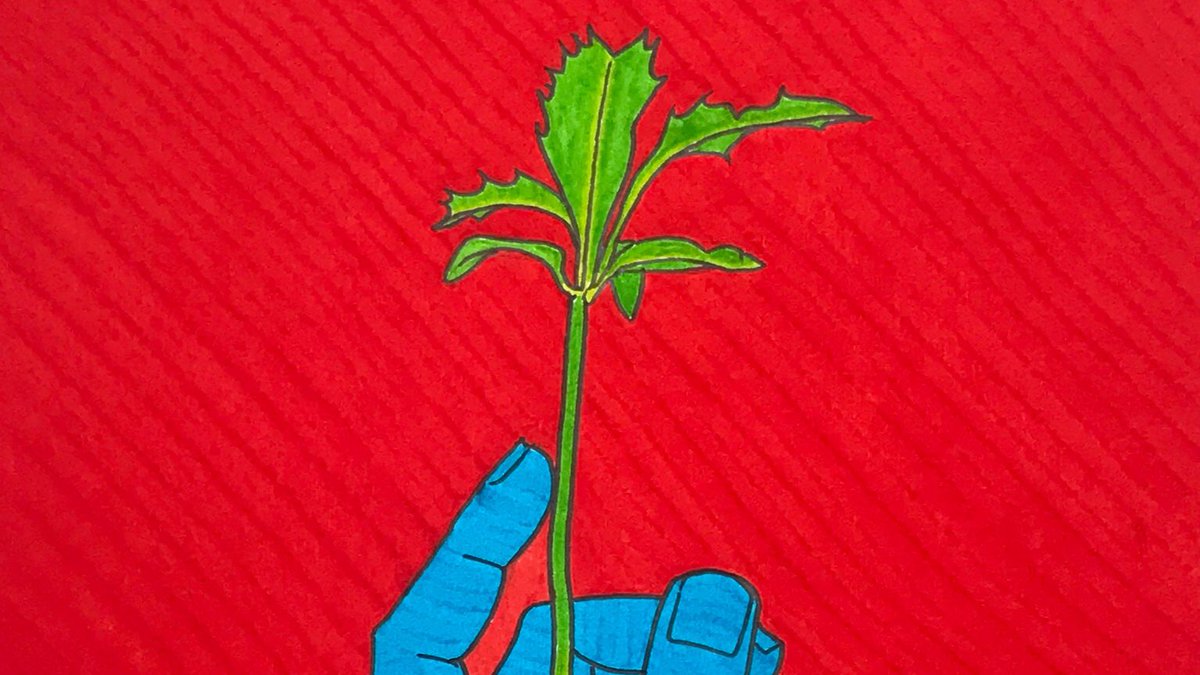 Thread by @RobertBohan on Thread Reader App – Thread Reader App