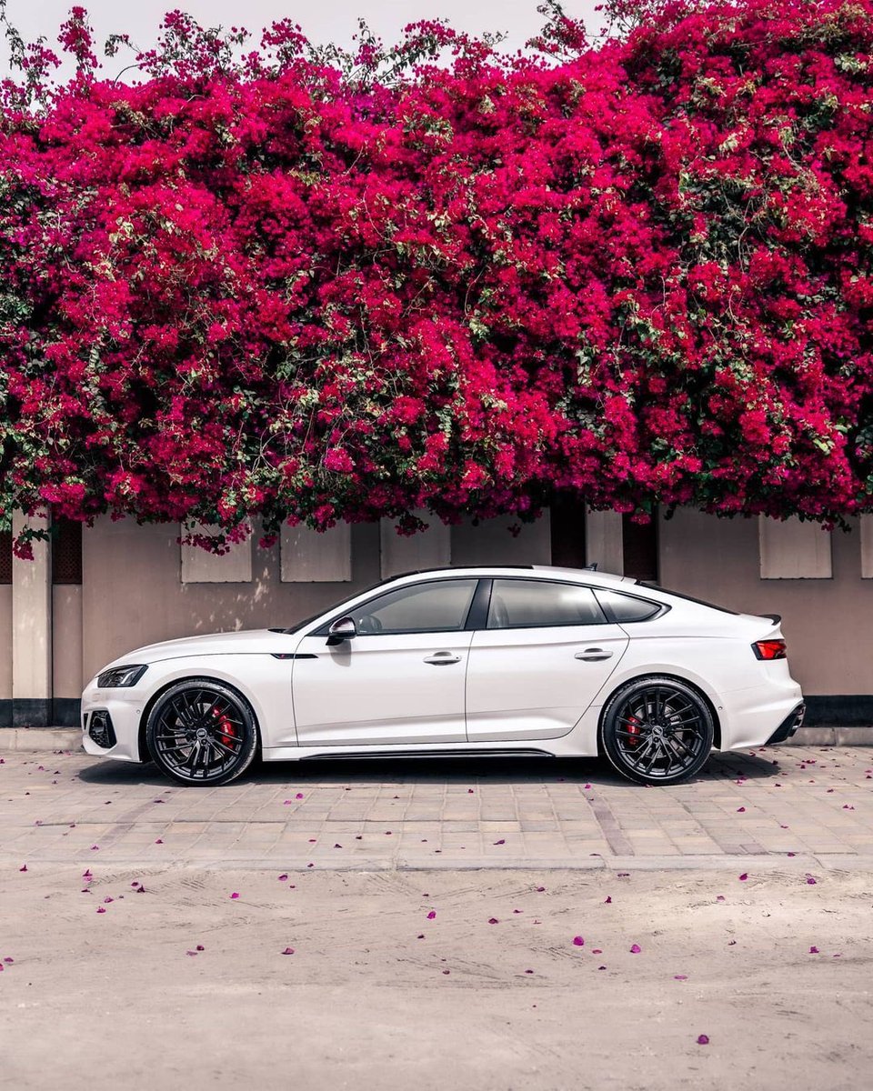 Shift_Mootark (@Shift_Mootark) | Twitter