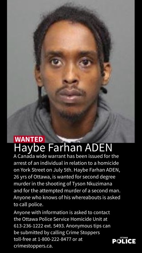 Sandra Bee's Instagram, Twitter & Facebook on IDCrawl