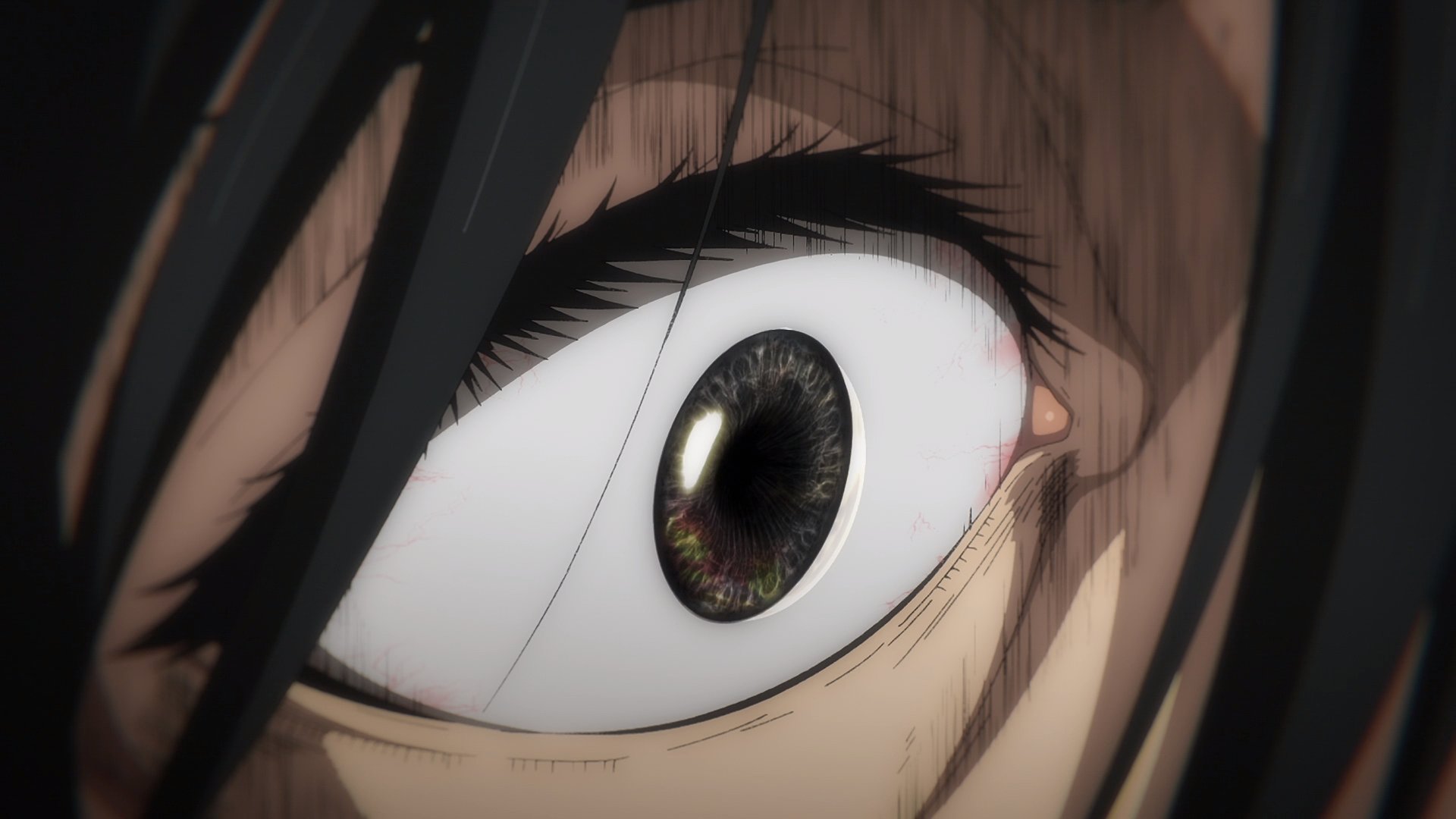 Mikasa Ackerman Eyes