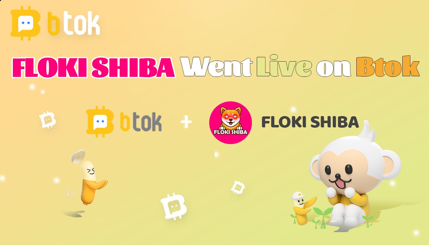 Btok on Twitter: "FLOKI SHIBA went live on Btok！！ 📢Project Name：FLOKI SHIBA 🔗Project Official ...