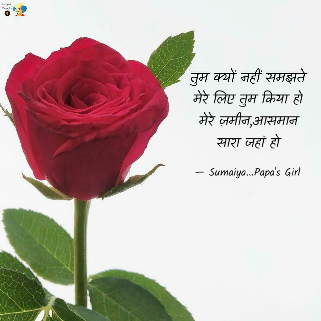 Sumaiya Parveen (@Sumaiya63267065) | Twitter