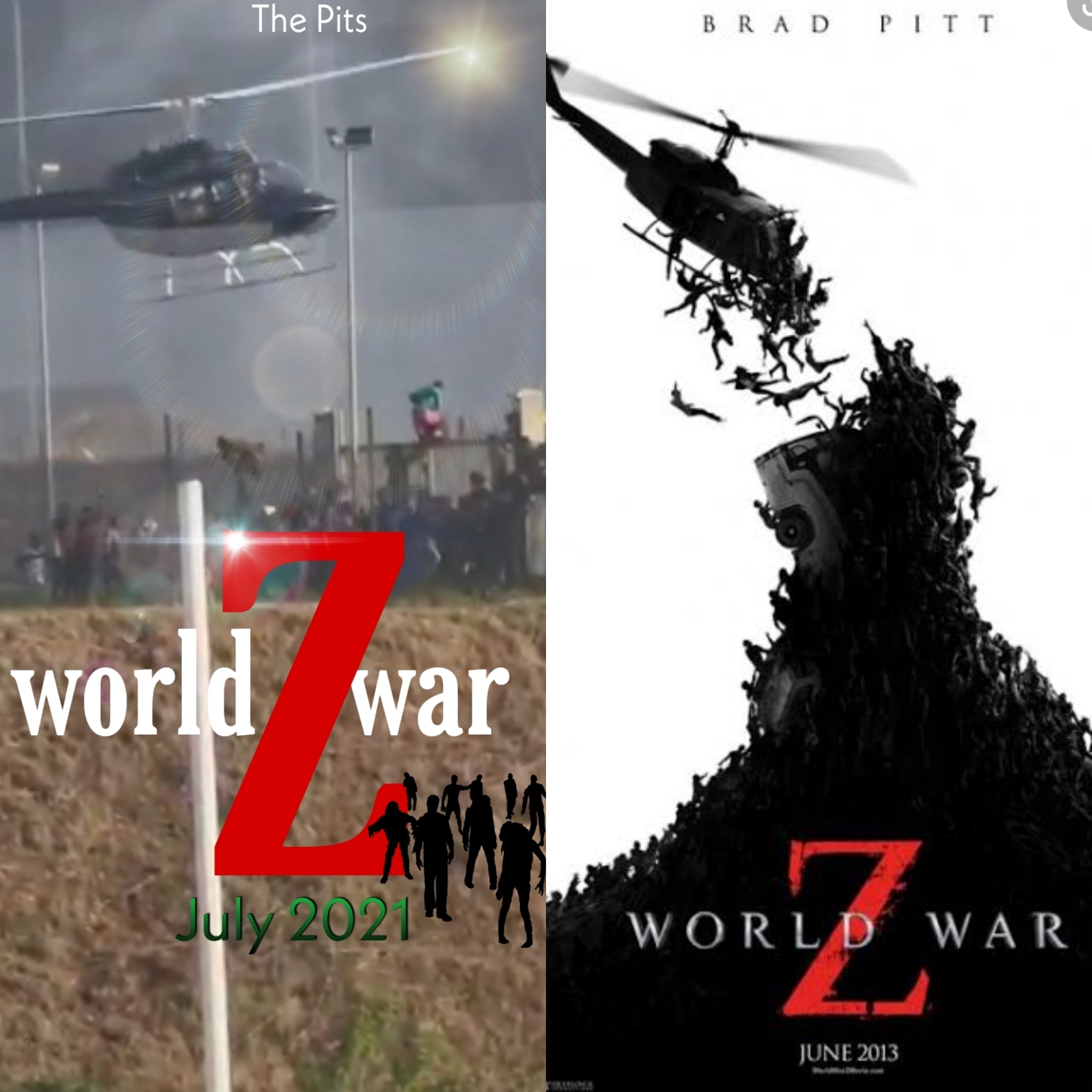 World War Z Zombie Cat