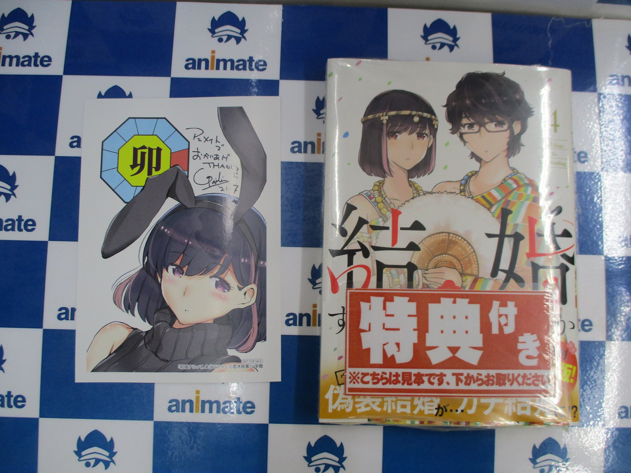 アニメイト池袋本店 On Twitter 【📚書籍新刊情報📚】 小学館 若木民喜 先生著『結婚するって、本当ですか 4巻』 しょたん