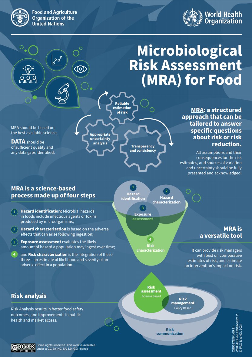 Risk Analysis Infographic
