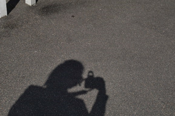 Welcome to Whitmore High School