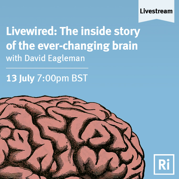 Royal Institution on Twitter: "Tomorrow's talk: neuroscientist ...