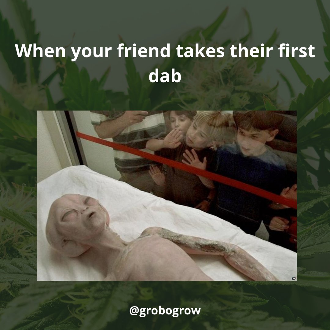 First Dab Memes