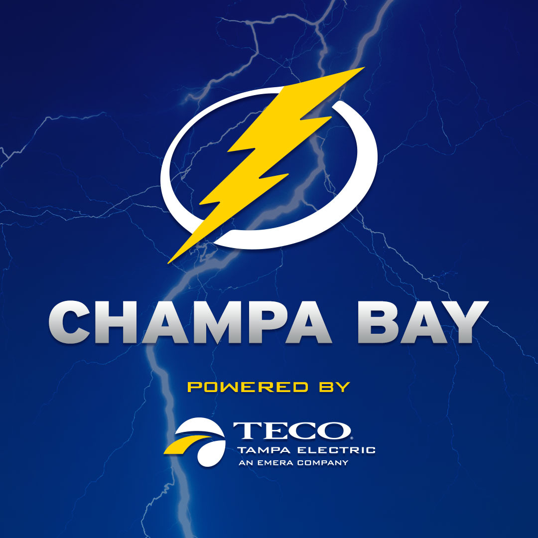 Tampa Electric Logo Lightning Bay Electric Reviews Tampa, FL | Angi