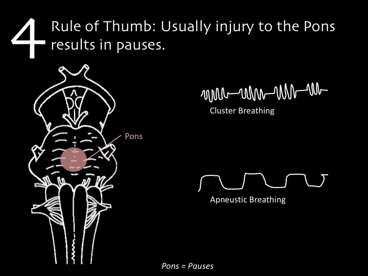 (1/) It can be difficult to remember all the different breathing ...