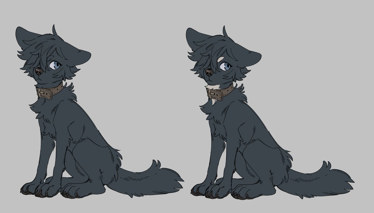 Twoucan - Kaburion (@Kabu_rion)